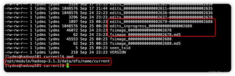 hdfs最基础使用 hdfs的基本操作 csdn博客