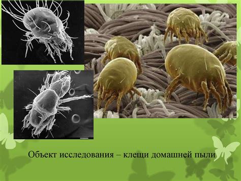 Кафедра биоразнообразия и морских биоресурсов Профиль «Биоразнообразие Зоология презентация