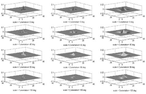Bank Of Log Gabor Filters With Scale 3 And Orientation4 A Total Of Download Scientific