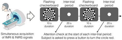 Video Simultaneous Data Collection Of Fmri And Fnirs Measurements