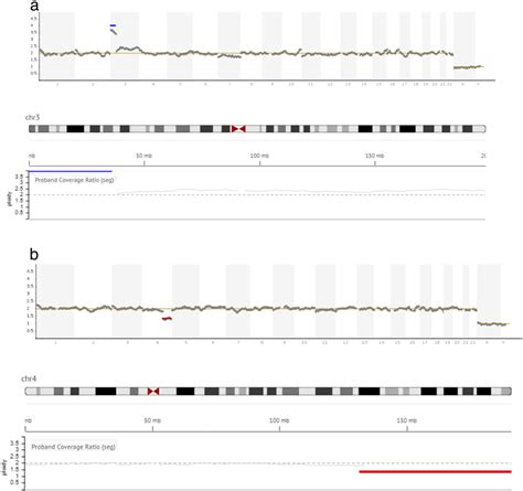The Graph Represents The Copy Number Variation Cnv Of The Sample