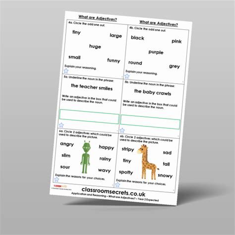 Year 2 What Are Adjectives Application And Reasoning Resource