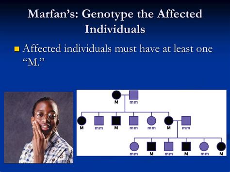 Ppt Understanding Inheritance Patterns In Human Genetics Powerpoint Presentation Id 1470055