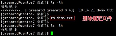 【终端使用】rm命令，删除文件或目录 Greamrod 博客园