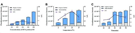 Optimization Of Experimental Conditions A Optimization Of Rna Probe