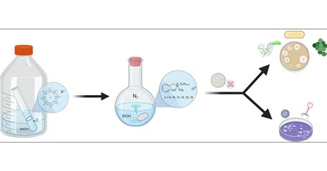 Surfactant Impregnated Mof Coated Fabric For Antimicrobial Applications