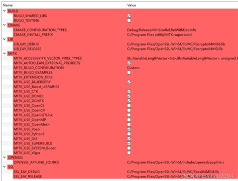 医学图像处理软件mitk 2021 10源码编译成功教程 mitk cemrg 图像处理 csdn博客