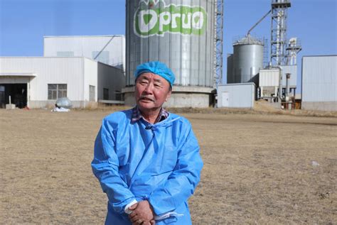 Оргио монголдоо өсгөсөн тахианы мах махан бүтээгдэхүүнээр хүн амын хүнсний хэрэгцээг хангаж байна