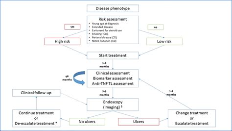 Proposed Treatment Algorithm For A Treat To Target Strategy In Ibd Cd Download Scientific