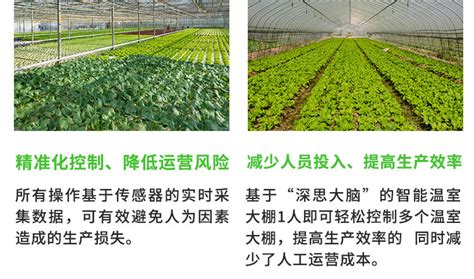 智慧物联网 智慧农业智慧园林解决方案 天正高科