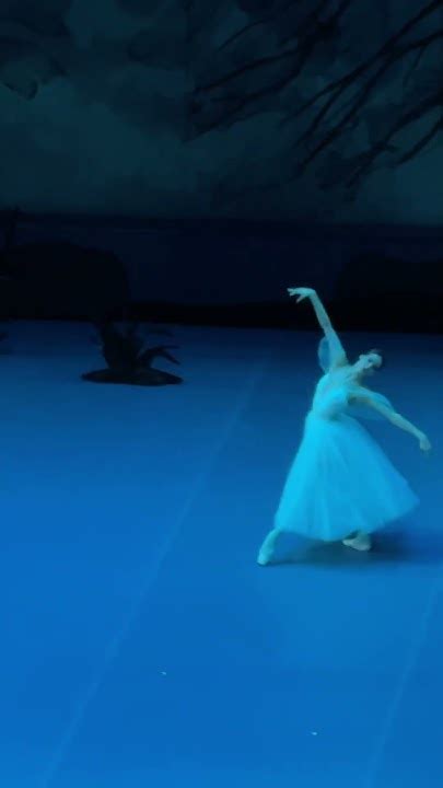 “Жизель» Элеонора Севенард 17.01.24 #bolshoitheatre #balet #balerina # ...