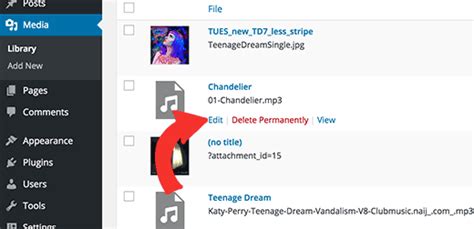 How To Add Audio Files And Create Playlists In WordPress