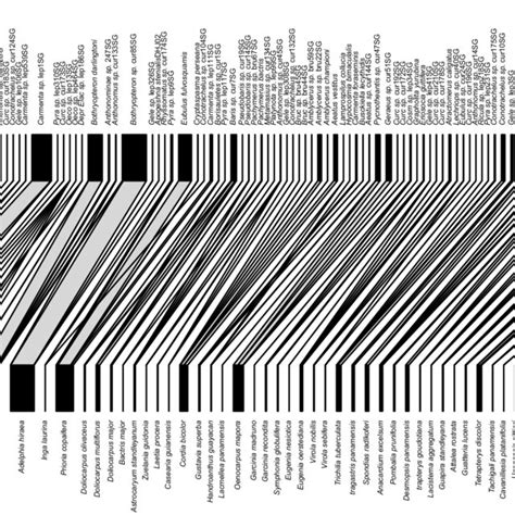 Bipartite Network Depicting The Interactions Between Seeds And Download Scientific Diagram