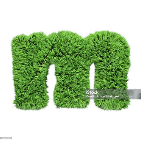 허브 잔디 알파벳 소문자 M 흰색 3d 그림에 격리 소문자에 대한 스톡 사진 및 기타 이미지 소문자 식물 알파벳 M Istock