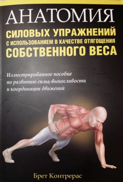 Анатомия силовых упражнений с использованием в качестве отягощения ...
