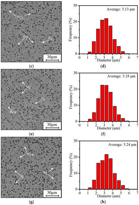 Materials Free Full Text Effects Of Aging Treatment On The