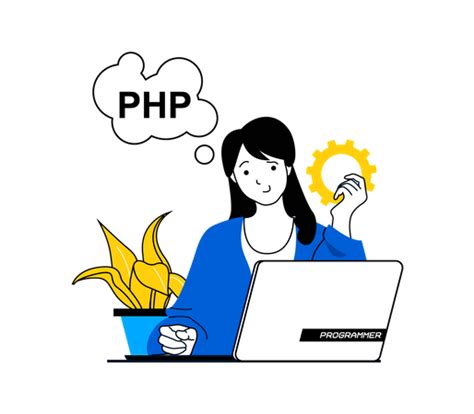 Best Male Frontend Developer Illustration Download In Png And Vector Format