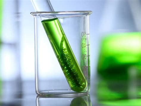 30 Facts About Berkeley Ohmyfacts