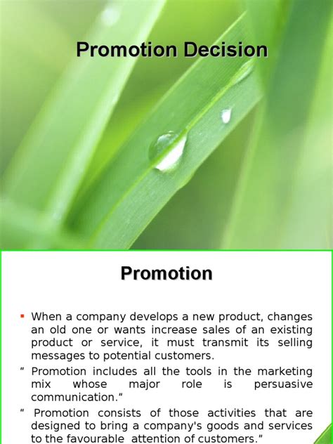 Promotion Decision Pdf Target Audience Advertising