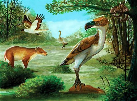 During The Eocene Giant Fearbirds Ruled As The Apex Predators Of