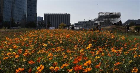 이승만기념관 부지는 송현광장…오세훈 의견 모이면 검토