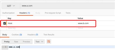 Postman Host请求头不生效问题 Sndragon的个人博客 Postman Host请求头不生效问题 Sndragon的个人博客