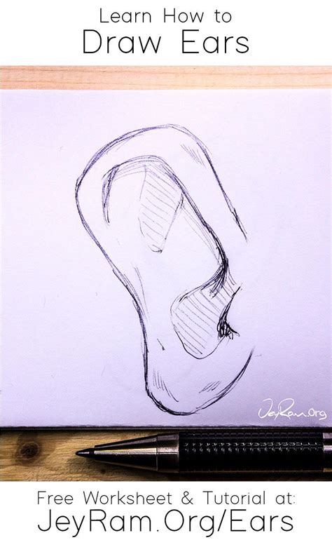 How To Draw Ears How To Draw Ears Drawings Drawing Tutorial
