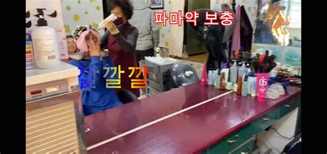 동네미용실 가서 5만원 주고 히피펌 한 유튜버  인스티즈 Instiz 인티포털 카테고리