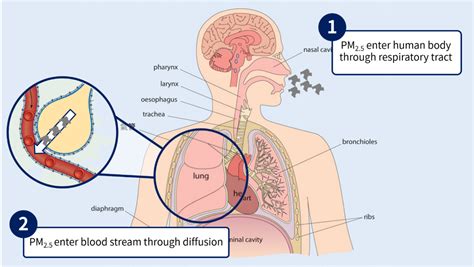 pm2 5 open data portal