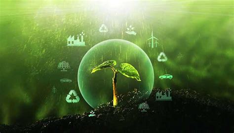 Guide To Choosing An Effective Carbon Offsetting Solution