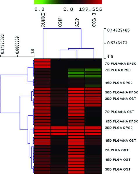 Dendrogram And Unsupervised Hierarchical Clustering Heat Map Of