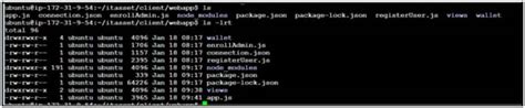 Designing Front End Application With Hyperledger Fabric Through Sdk
