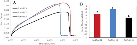 A Stress Strain Diagram B Elastic Modulus Diagram For Scaffold14