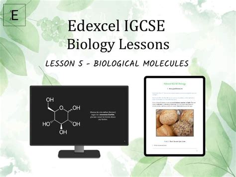 Edexcel IGCSE Biology Lesson 5 Biological Molecules Teaching Resources