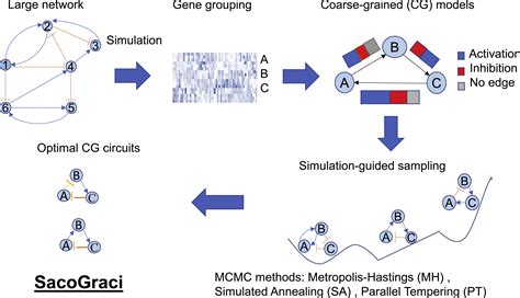 A Data Driven Optimization Method For Coarse Graining Gene Regulatory