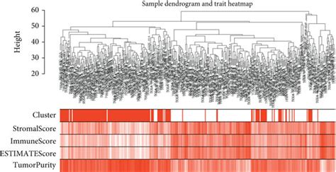 Identification Of Module Genes Related To Clustering And Immunity In