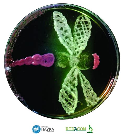 Ridacom Comprehensive Bioscience Supplier Ridacom Comprehensive Bioscience Supplier