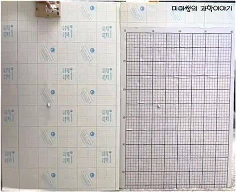 자유 낙하 운동과 수평 방향으로 던진 물체의 운동 비교 실험 네이버 블로그