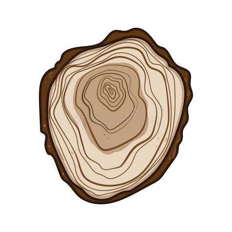 Growth Tree Rings Cartoon Vector Illustration Stock Illustration Illustration Of Forest