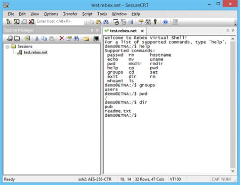 Securecrt 50 Serial Craftretpa