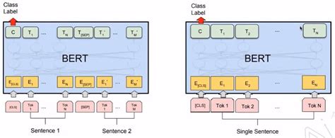 一文看懂transformer到bert模型 Csdn博客