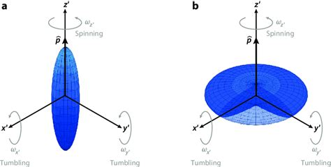 Spheroid Shapes Used To Investigate The Dynamics Of Anisotropic