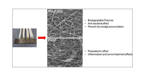 Electrospun Polycaprolactonepolyvinylidene Fluoride Composite Nanofibers For Fabricating