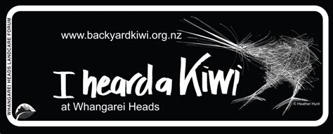Kiwi Calls Backyard Kiwi