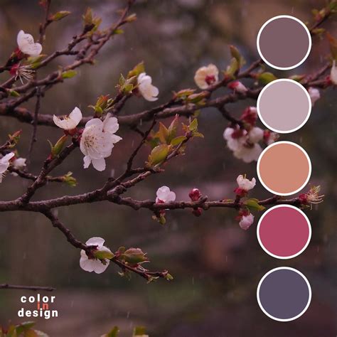 Сочетание цветов 127 Сочетание цветов Цвета интерьера Цветовые палитры