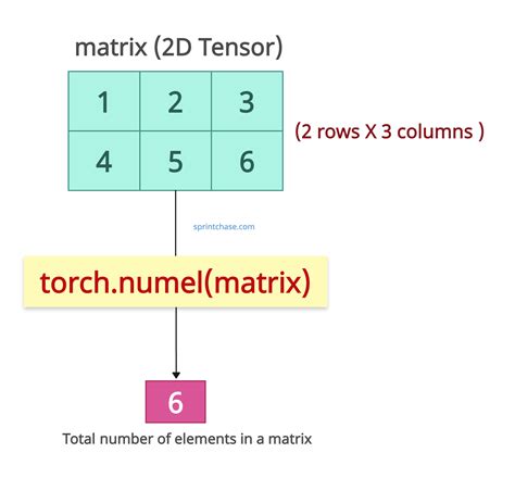 torch numel calculating total elements in a tensor