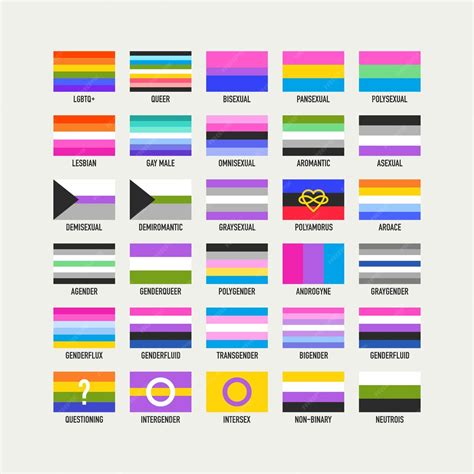 Sammlung Von Pride Flaggen Zur Illustration Der Sexuellen