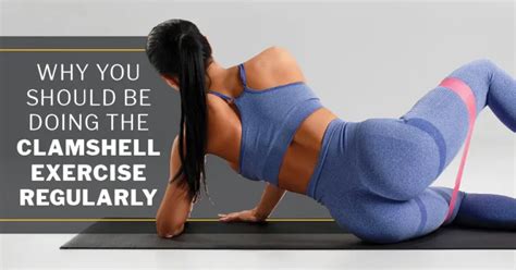 Clamshell Exercise Why You Should Add Clamshell Exercises To Every