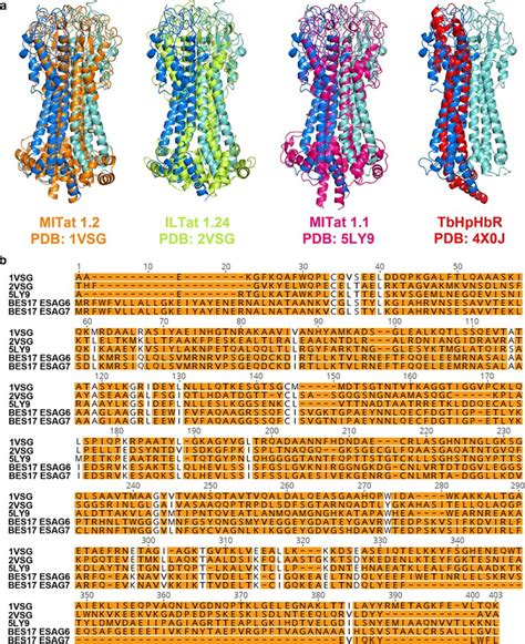 Comparison Of The Transferrin Receptor With Vsgs And The Download