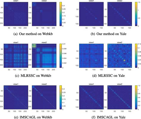 The Affinity Matrices Of View1 And View2 On The Webkb And Yale Datasets